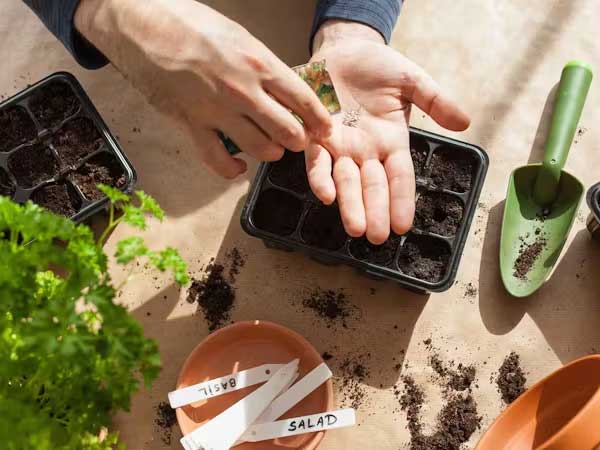 Gardening Tips for March
